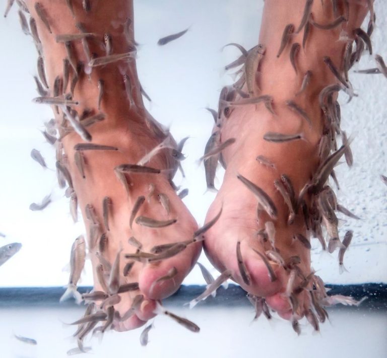 Discover the Best Pedicure for Your Feet: 22 Types Explained - nailhow